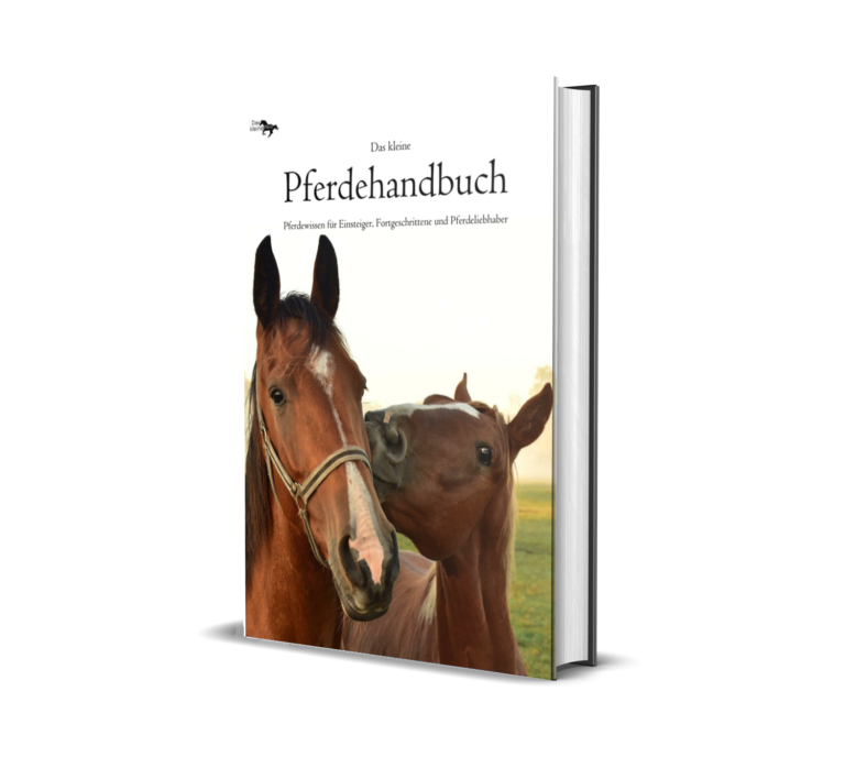 Sebacil Erfahrungen bei unserem Pferd | daskleinepferd.de