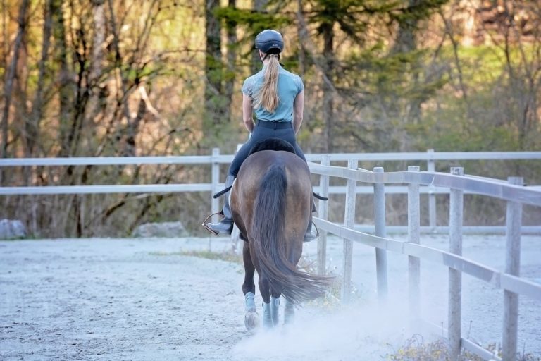 Pferdeschweif waschen - im Winter? Dein How To! | daskleinepferd.de