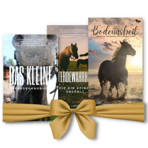 Sebacil Erfahrungen bei unserem Pferd | daskleinepferd.de