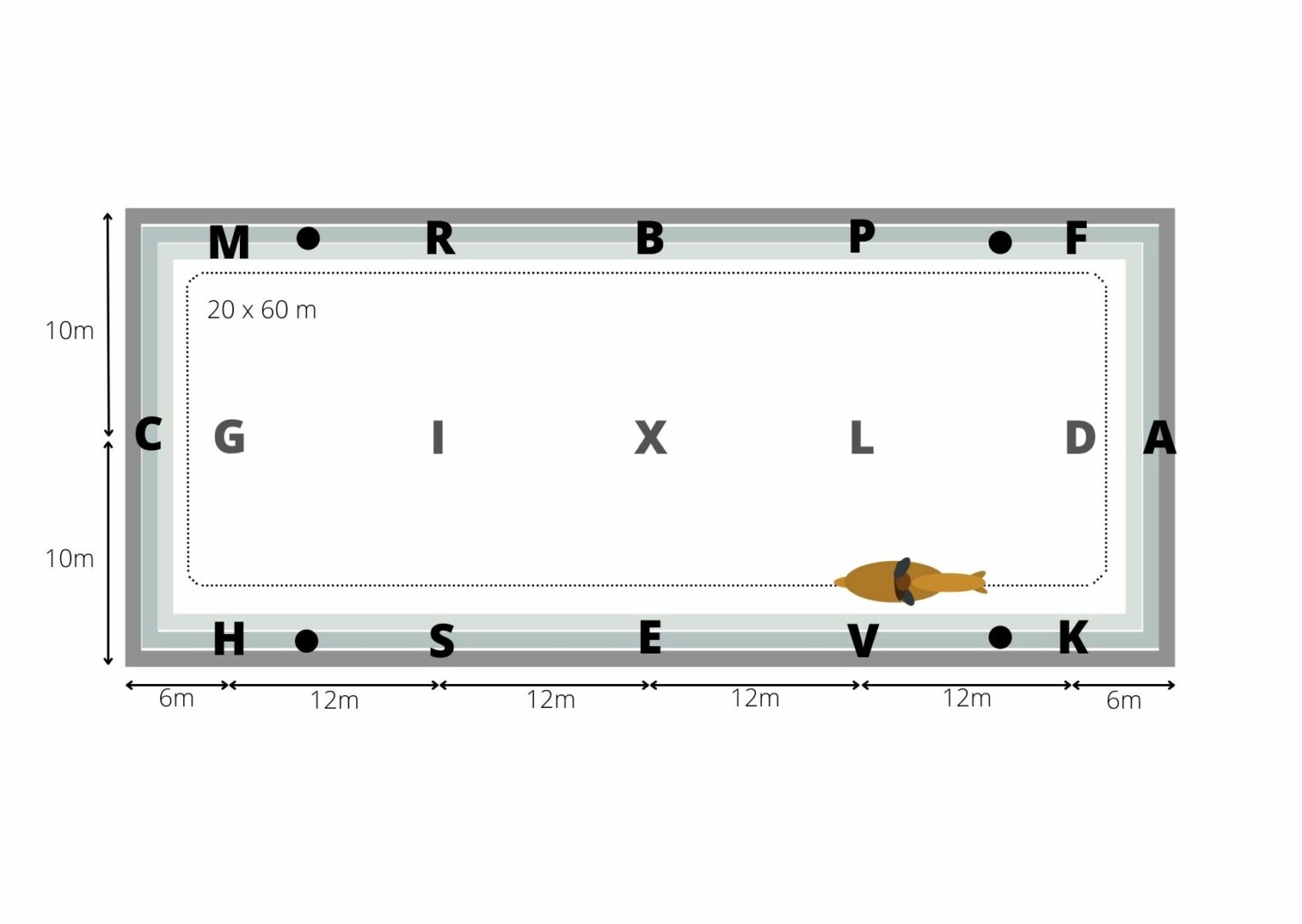 Dressurviereck Bahnpunkte | daskleinepferd.de
